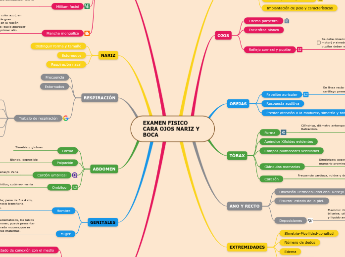 EXAMEN FISICO CARA OJOS NARIZ Y BOCA - Mind Map